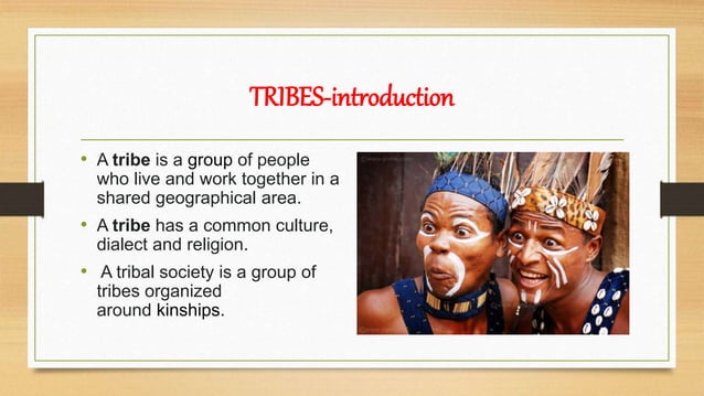 Tribes Of Chhattisgarh | PPTX | Hinduism | Religion & Spirituality