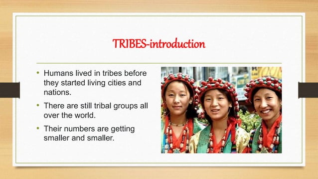 Tribes Of Chhattisgarh | PPTX | Hinduism | Religion & Spirituality