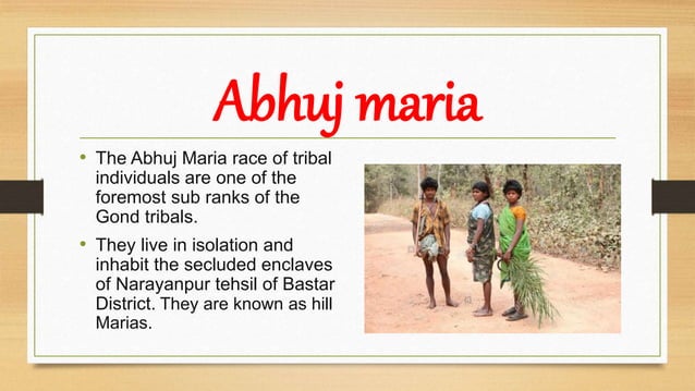 Tribes Of Chhattisgarh | PPTX | Hinduism | Religion & Spirituality