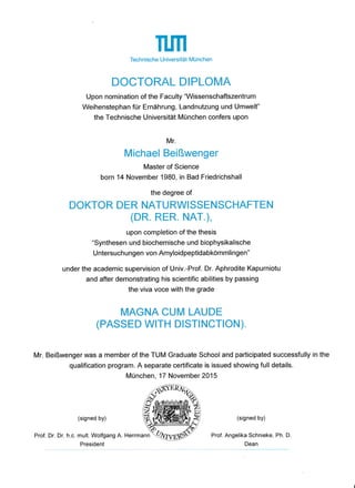 Doctoral Diploma | PDF