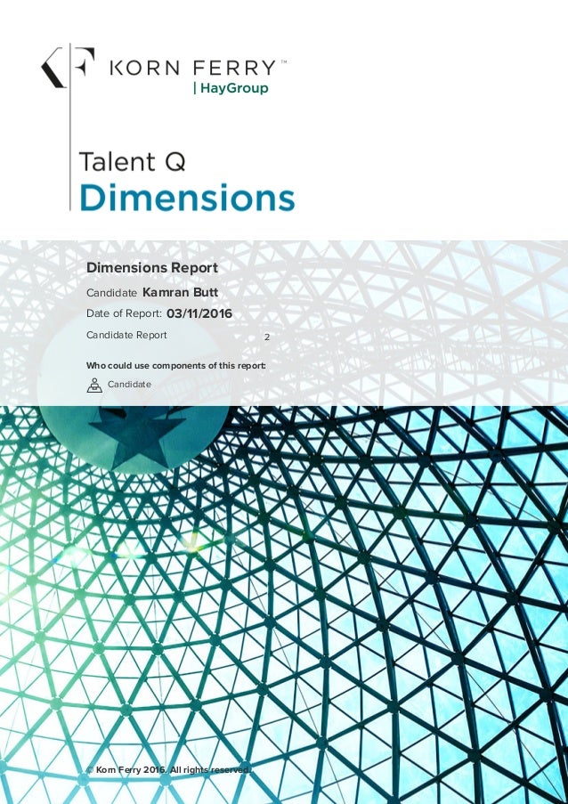 Talent Q Dimension Report - Korn Ferry Hay Group