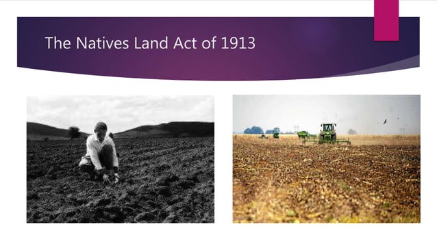 Land act of 1913 | PPTX