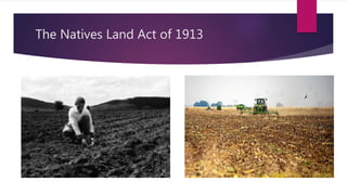 Land act of 1913 | PPT