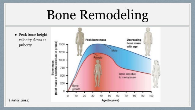 Batter Up For Bone Health