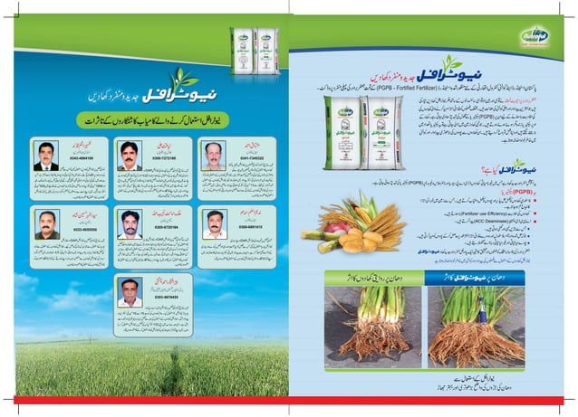 Nutraful Information | PPT