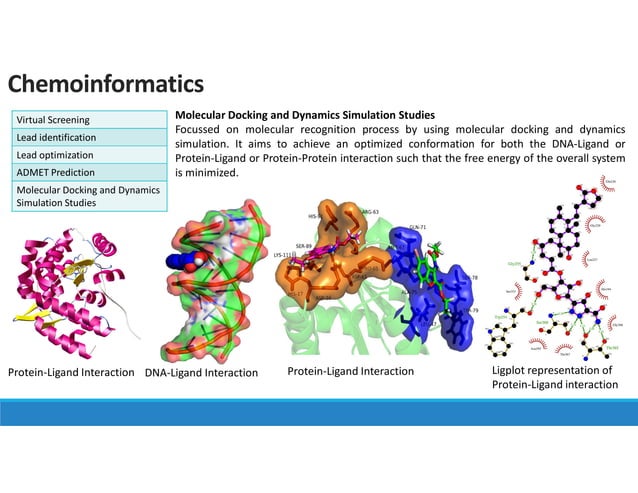 Prashantha_Docking | PPT