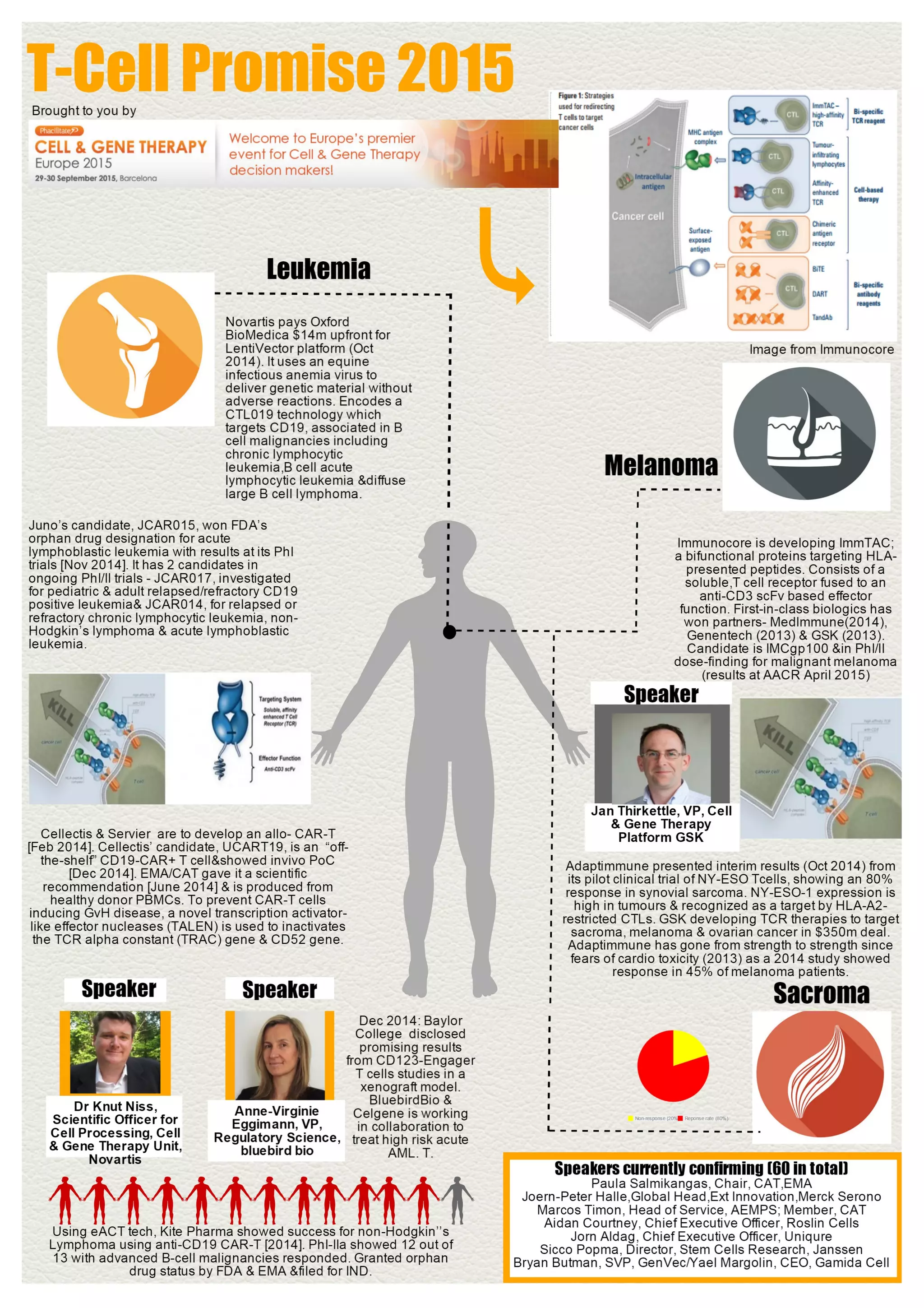 T Cell Promise Infographic | PDF