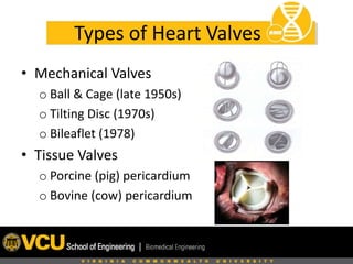 Artificial Heart Valves presentation | PPTX