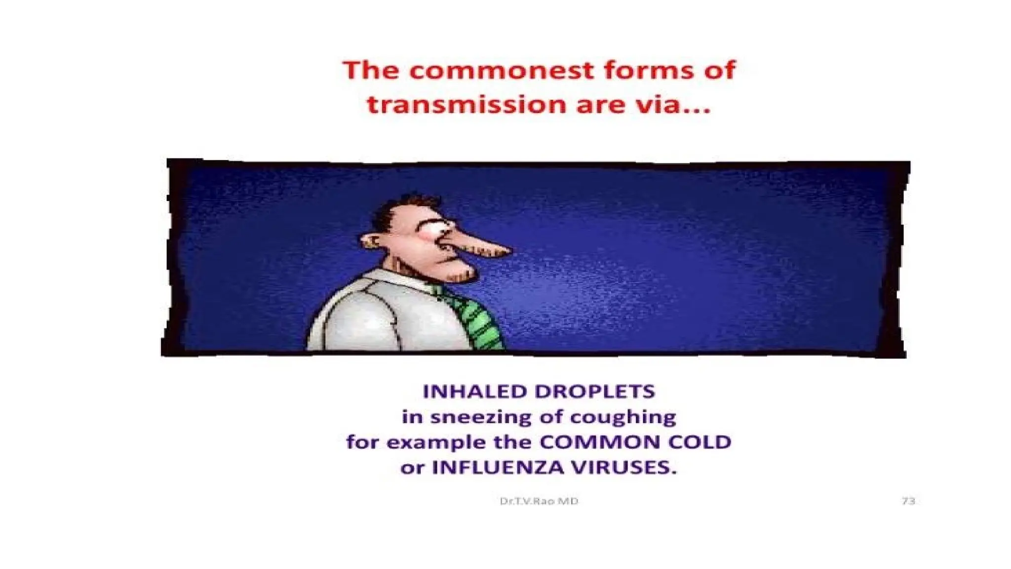 DPT - Microbiology II - Introduction to Virology | PPTX