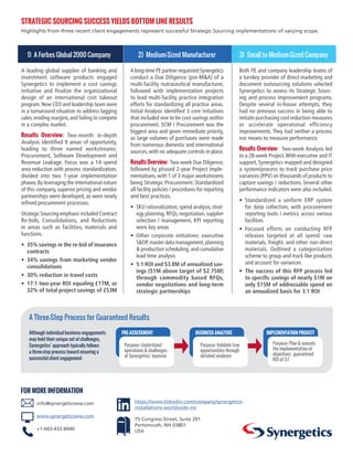 Synergetics-IIF-Strategic-Sourcing | PDF