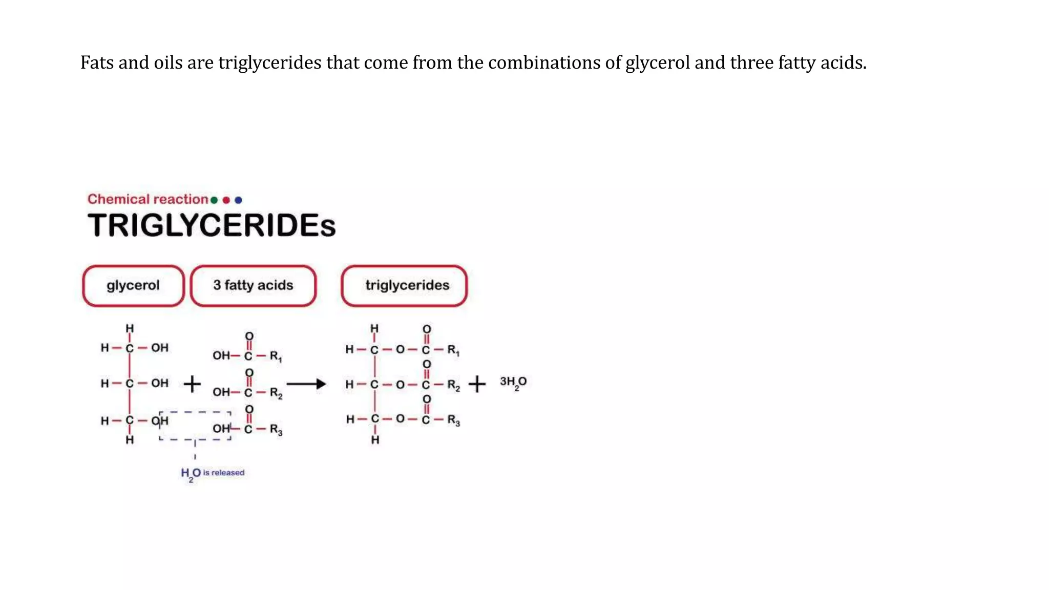 Lipids and Fats | PPTX