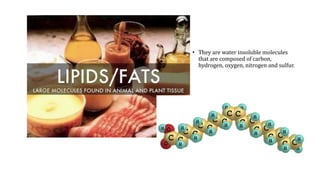Lipids and Fats | PPTX