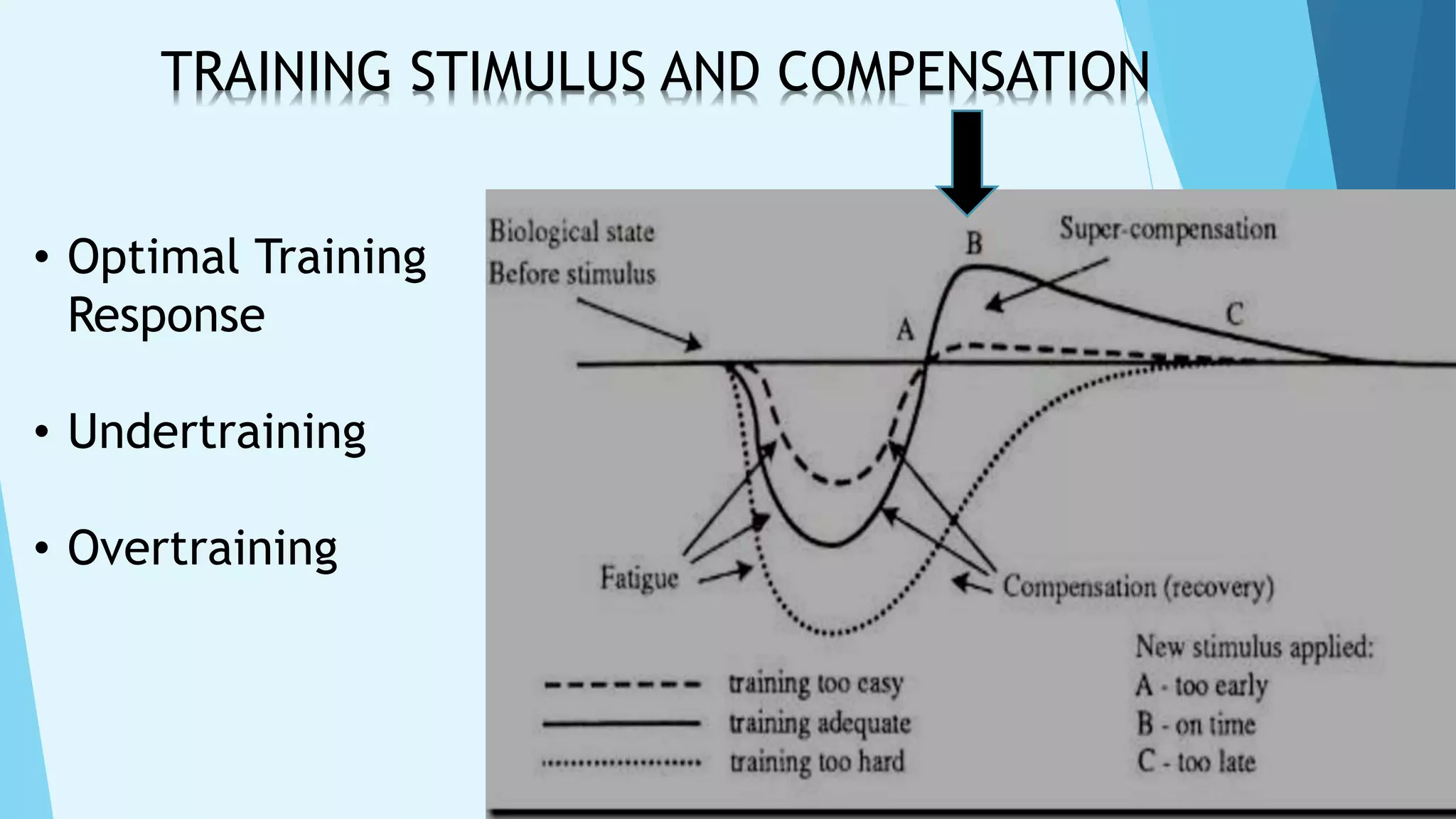 endurance presentation | PPTX
