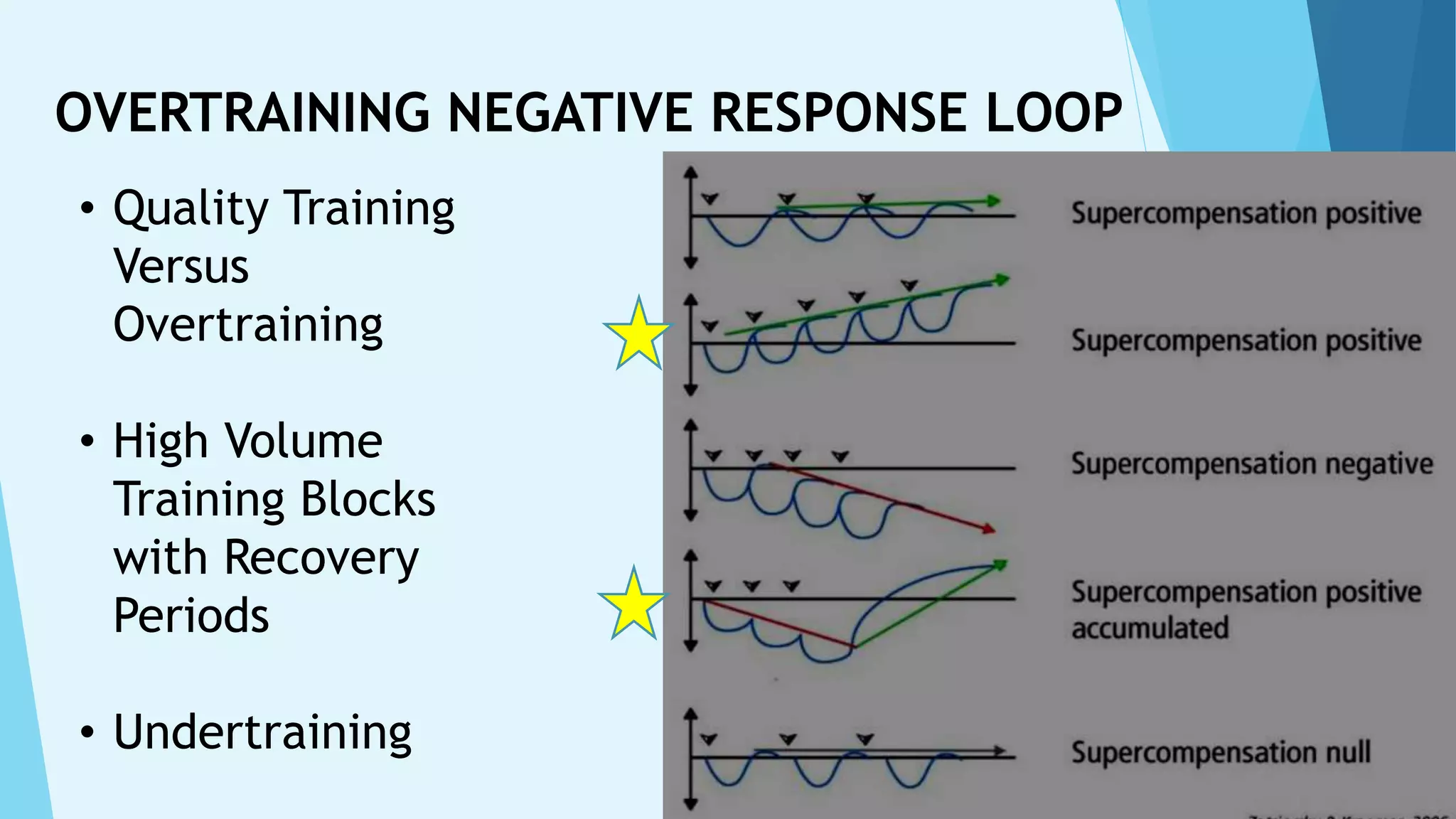 endurance presentation | PPTX