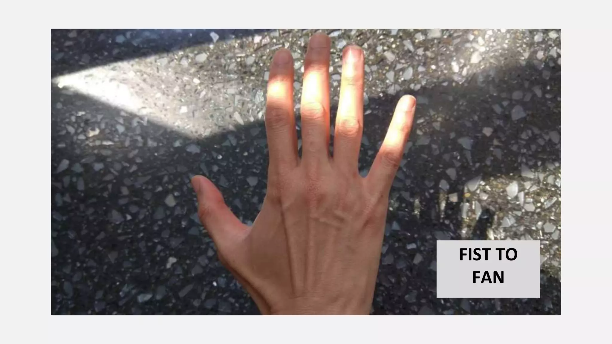 8 Best Hand and Wrist Exercises to prevent Carpal Tunnel and RSI at ...