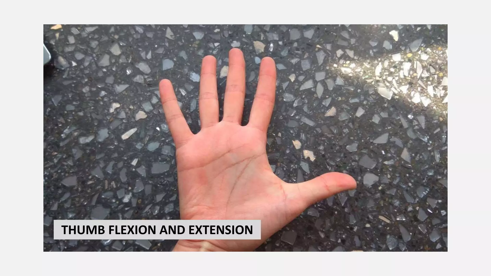 8 Best Hand and Wrist Exercises to prevent Carpal Tunnel and RSI at ...