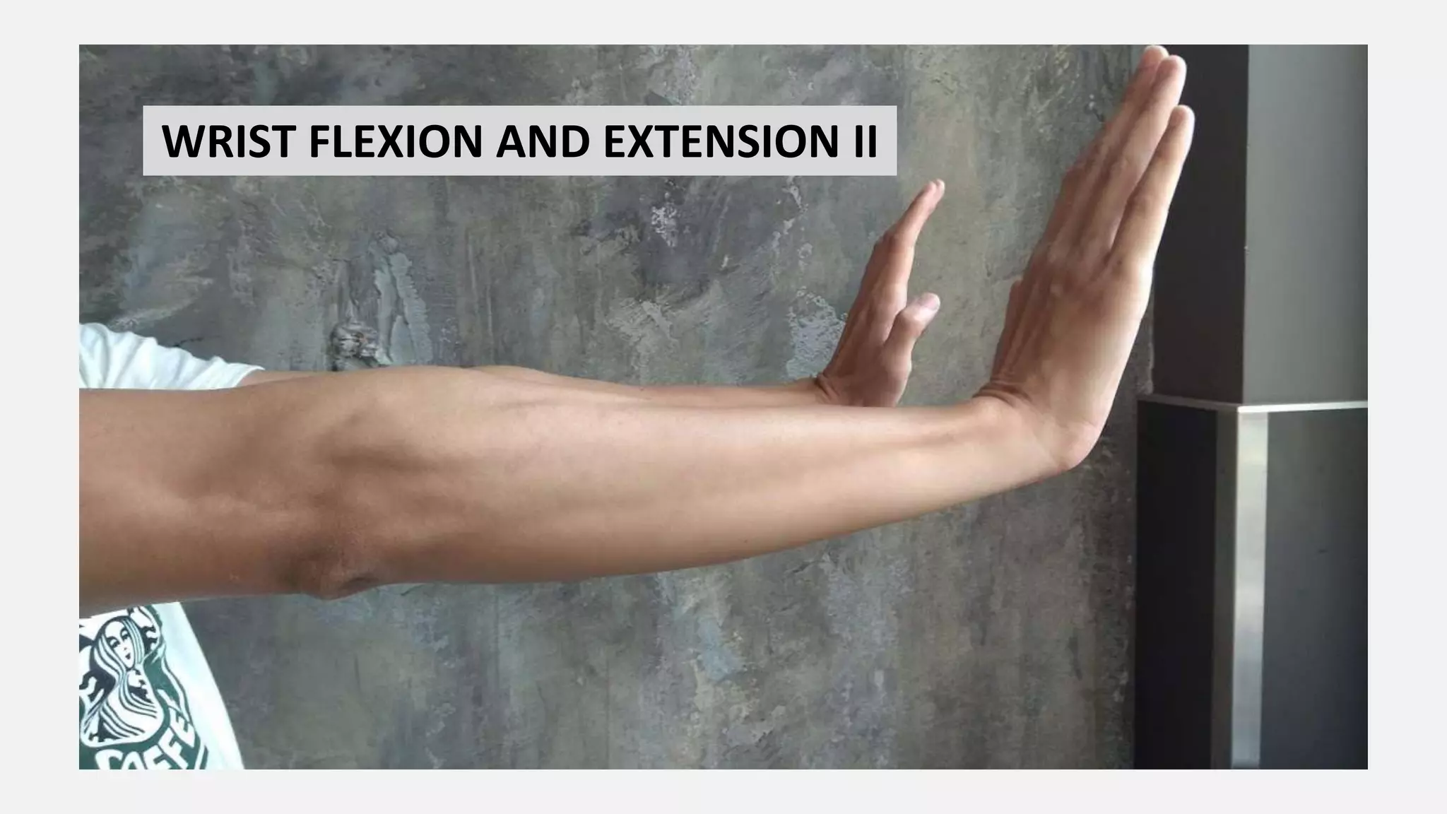 8 Best Hand and Wrist Exercises to prevent Carpal Tunnel and RSI at ...