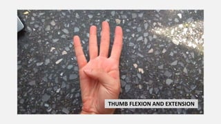 8 Best Hand and Wrist Exercises to prevent Carpal Tunnel and RSI at ...