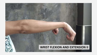8 Best Hand and Wrist Exercises to prevent Carpal Tunnel and RSI at ...