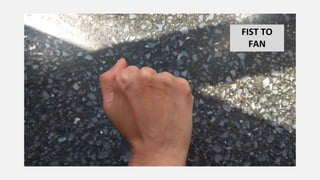 8 Best Hand and Wrist Exercises to prevent Carpal Tunnel and RSI at ...