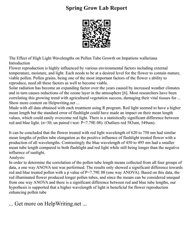 8 Best Images Of Printable Outline Format - Blank Ess | PDF