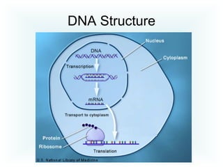 Gene Prediction Using Hidden Markov Model and Recurrent Neural Network | PDF