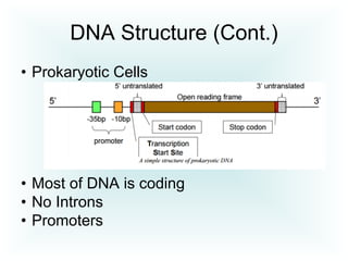 Gene Prediction Using Hidden Markov Model and Recurrent Neural Network | PDF