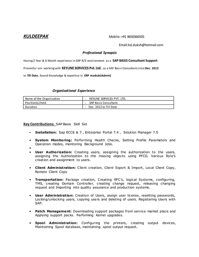 sap basis 2.5 yr exp. resume | DOCX