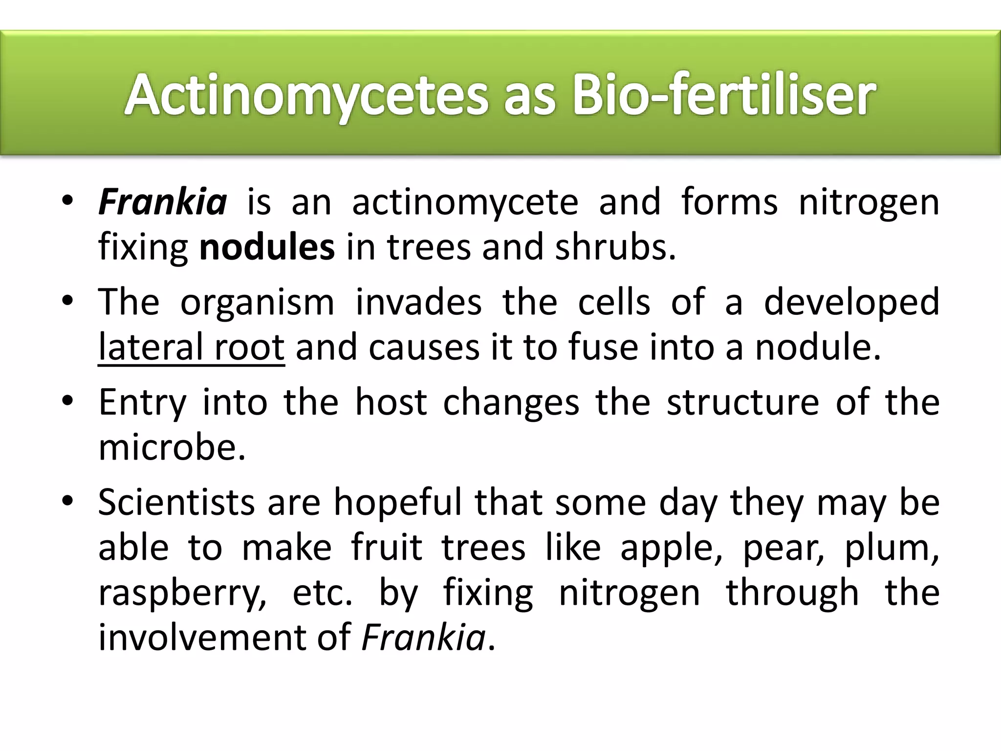 8 Biofertilizer.pptx