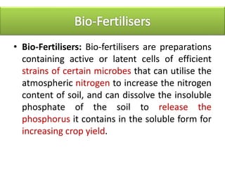 8 Biofertilizer.pptx