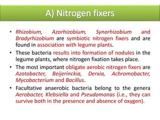 8 Biofertilizer.pptx