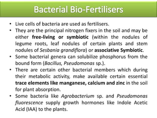 8 Biofertilizer.pptx