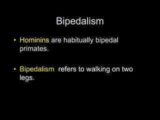 8 Bipedalism | PPTX | Geology | Science