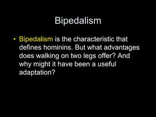 8 Bipedalism | PPTX