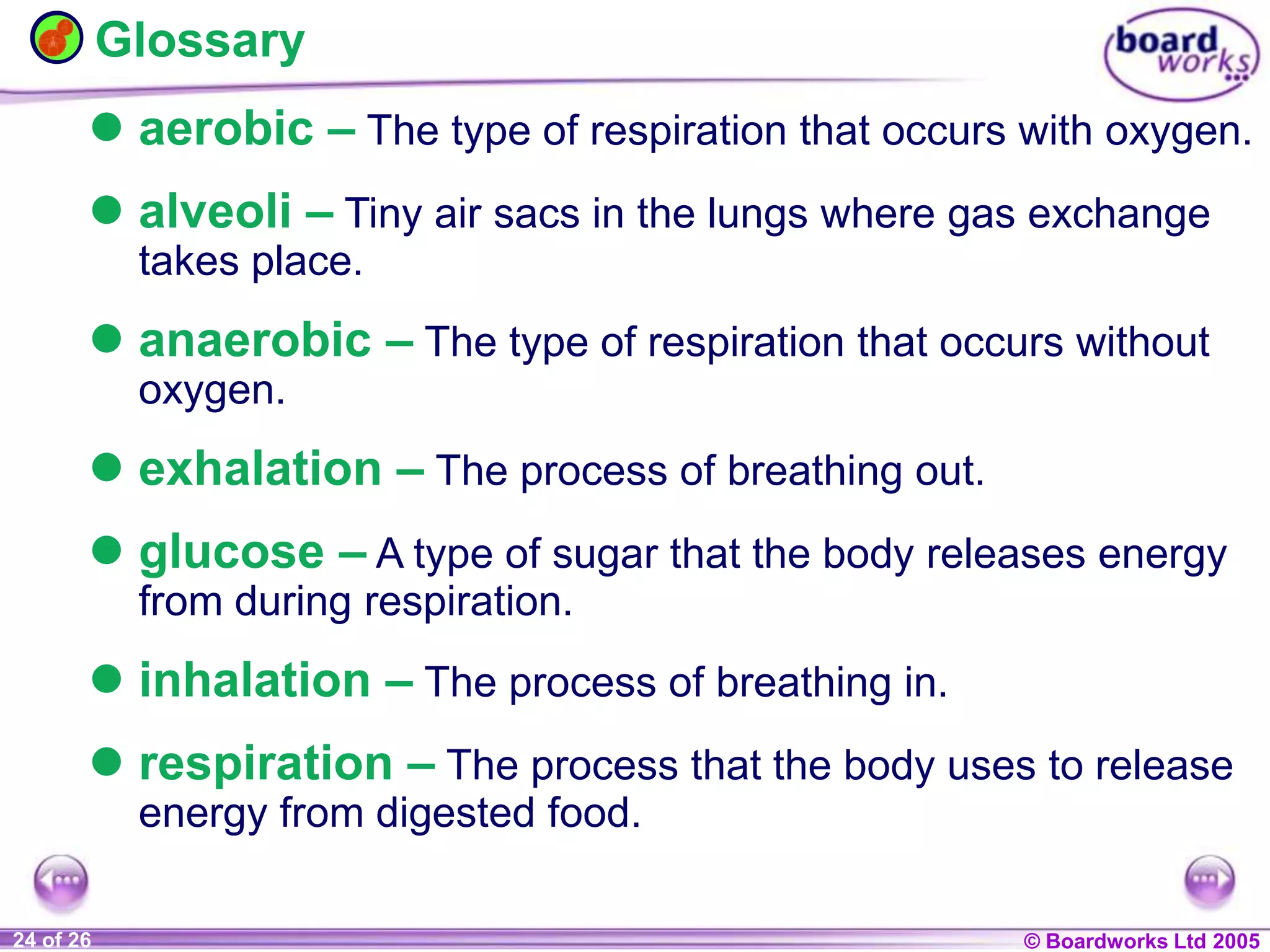 8 b respiration (boardworks) | PPT