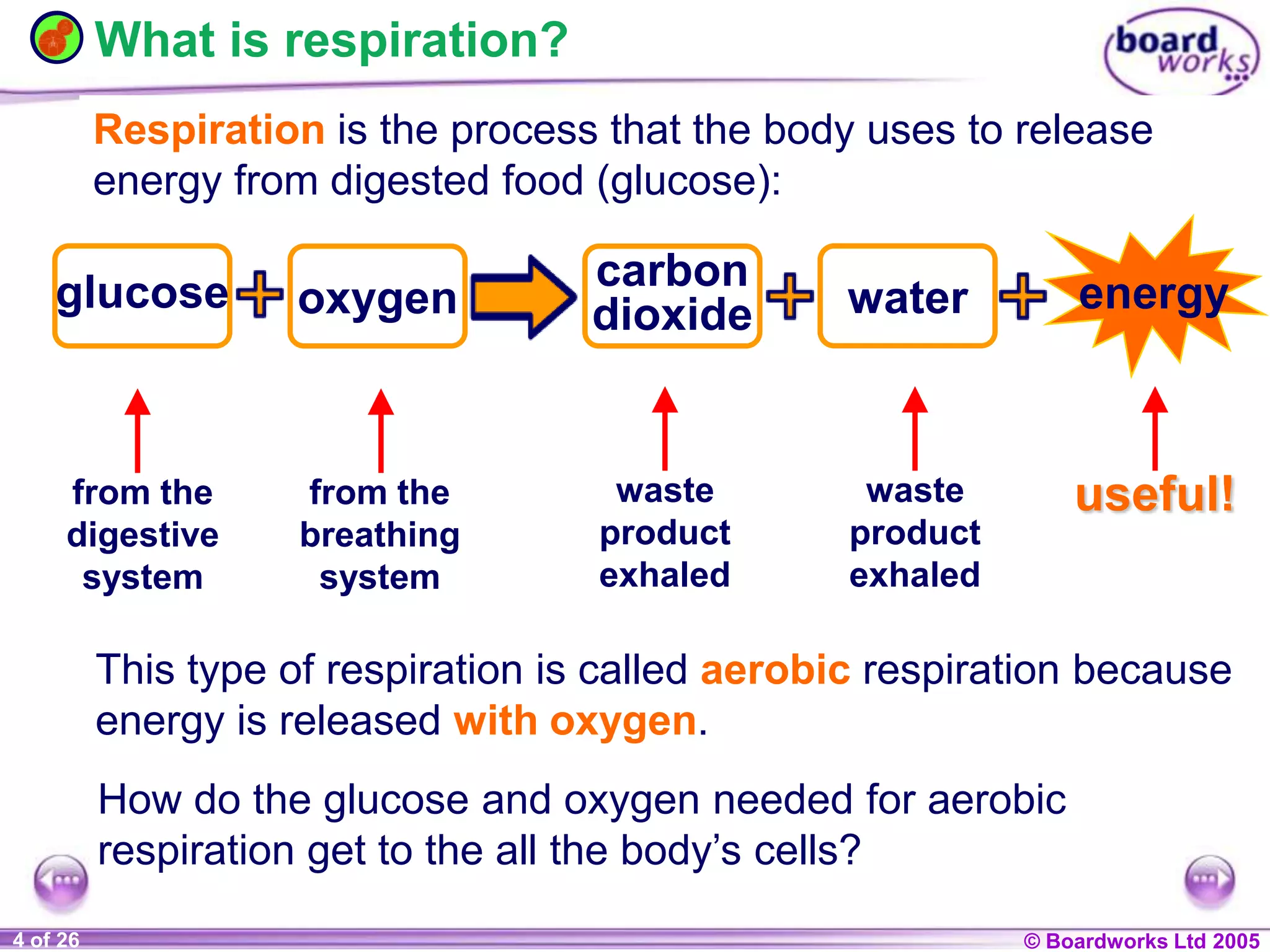 8 b respiration (boardworks) | PPT