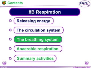 8 b respiration (boardworks) | PPT