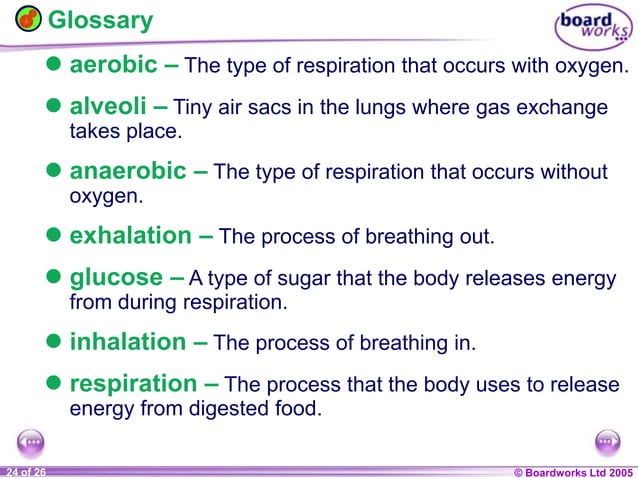 8 b respiration (boardworks) | PPT