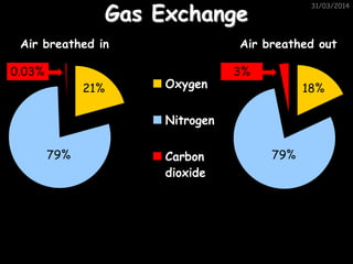 8 b respiration (whs) | PPT