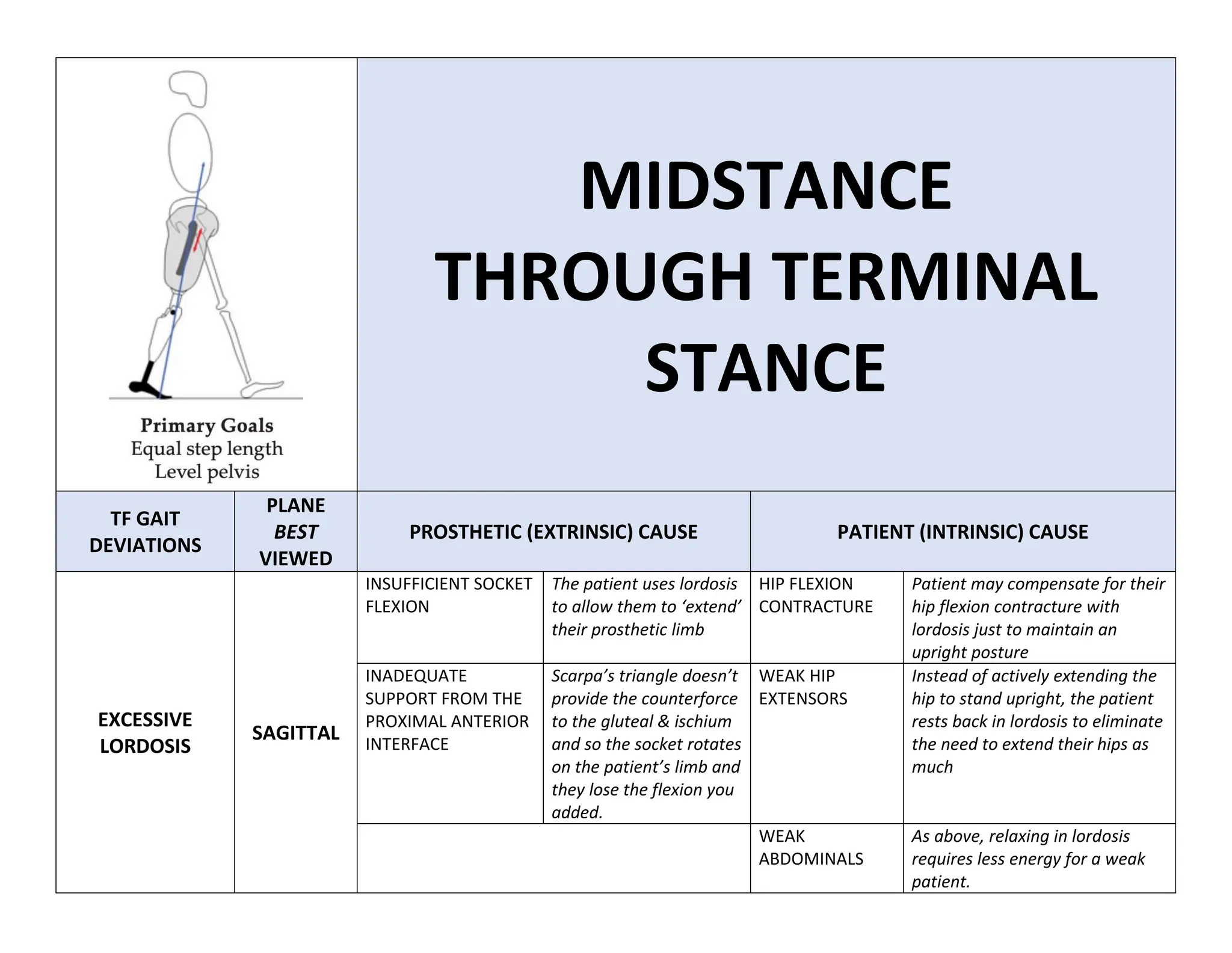 8c. Gait Deviation chart. Prosthetics and orthotics | PDF