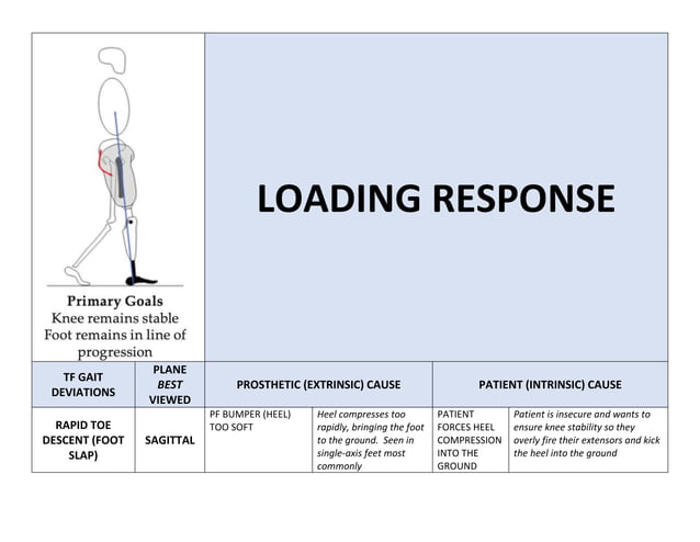 8c. Gait Deviation chart. Prosthetics and orthotics | PDF