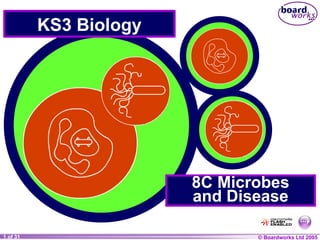 Microbes-and-Disease.ppt Diseases which can spread | PPT