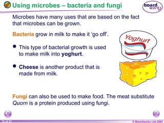 Microbes-and-Disease.ppt Diseases which can spread | PPT
