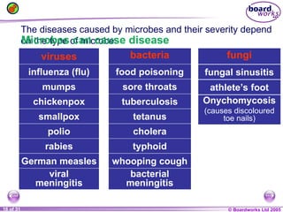 Microbes-and-Disease.ppt Diseases which can spread | PPT