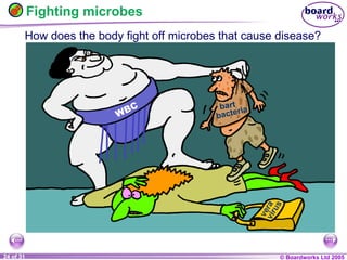 Microbes-and-Disease.ppt Diseases which can spread | PPT