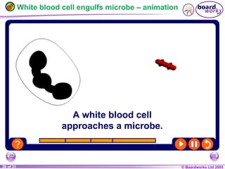 Microbes-and-Disease.ppt Diseases which can spread | PPT