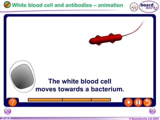 Microbes-and-Disease.ppt Diseases which can spread | PPT