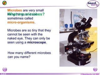 Microbes-and-Disease.ppt Diseases which can spread | PPT