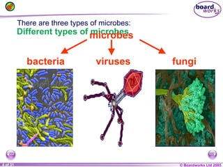 Microbes-and-Disease.ppt Diseases which can spread | PPT