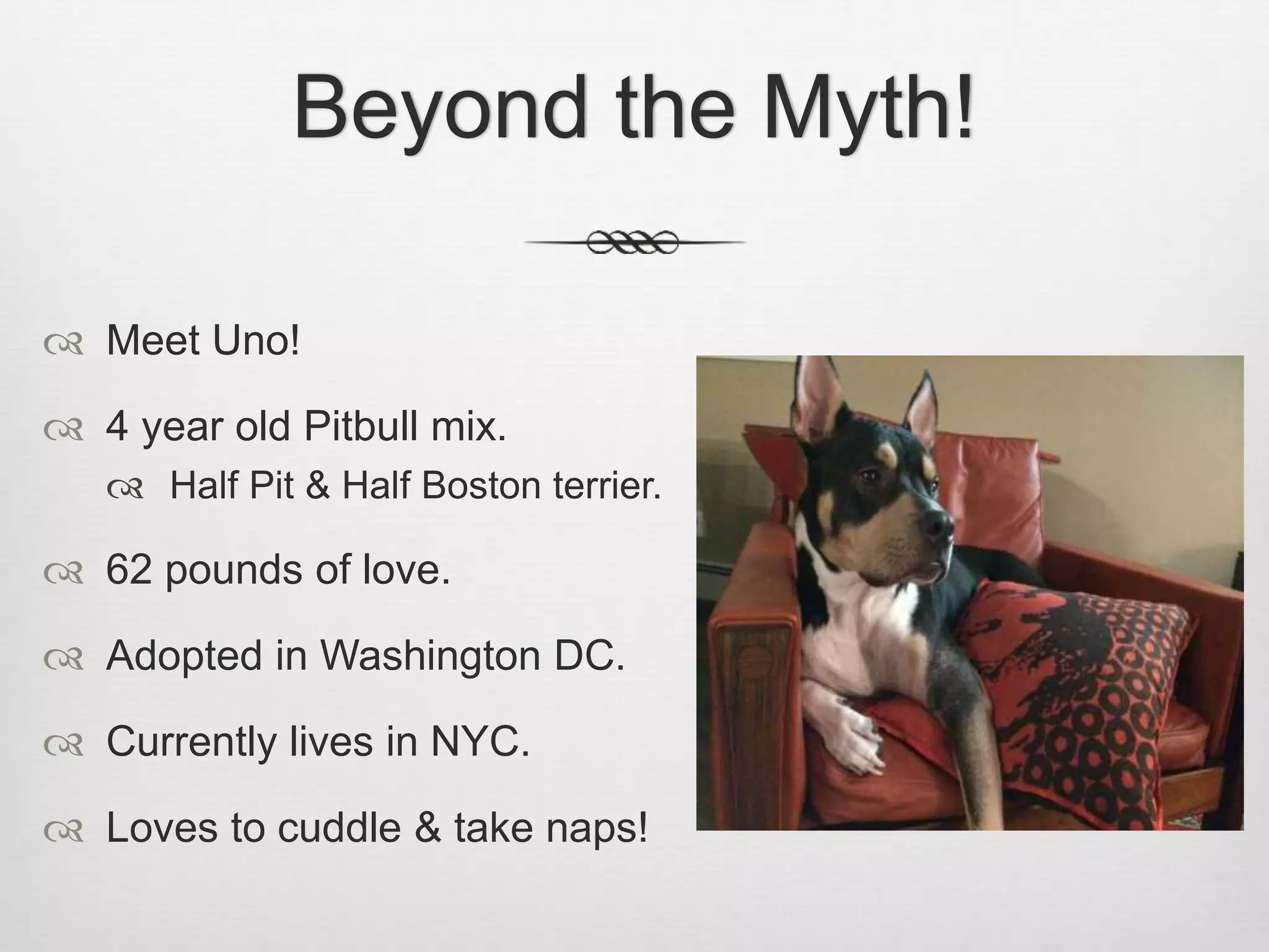 Uno presentation | PPT